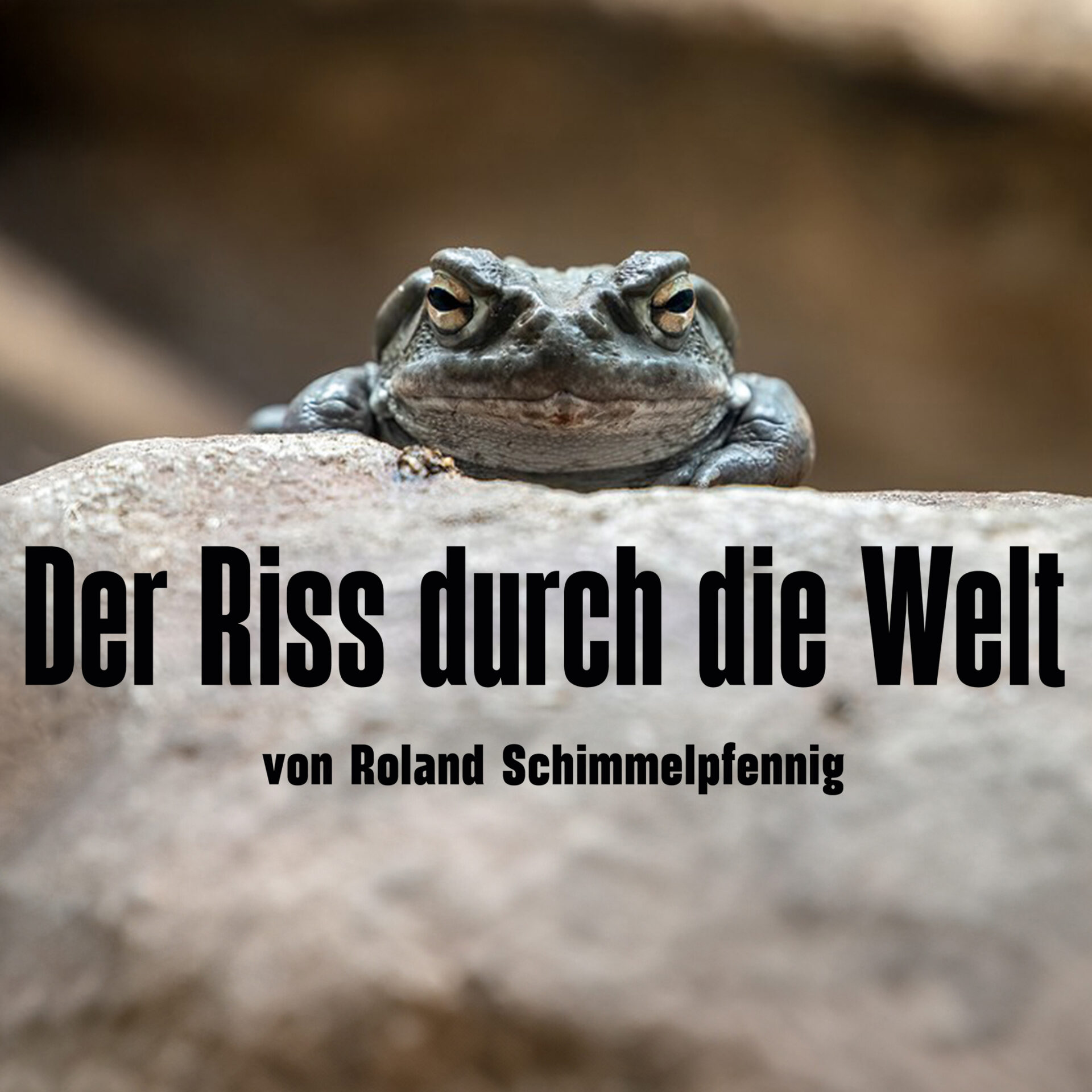 Der Riss durch die Welt - Theater der Altstadt